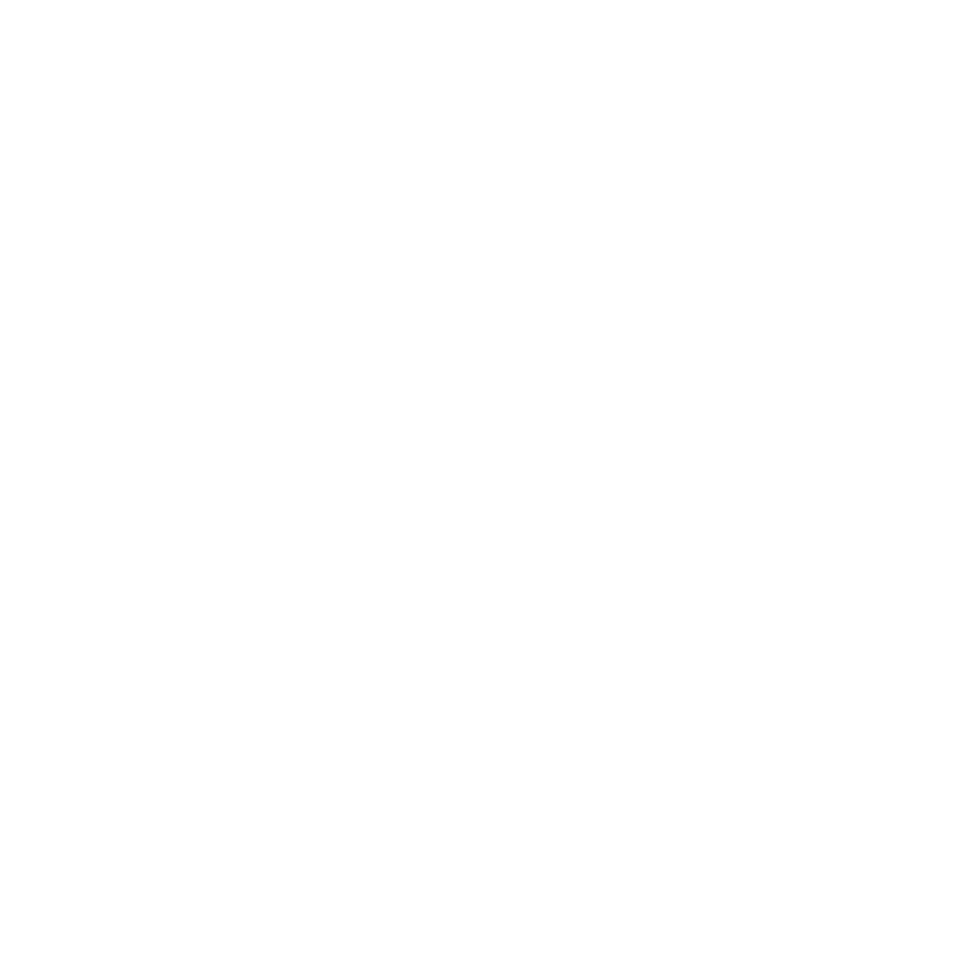 Shop our range of Traeger in Australia | The BBQ Store